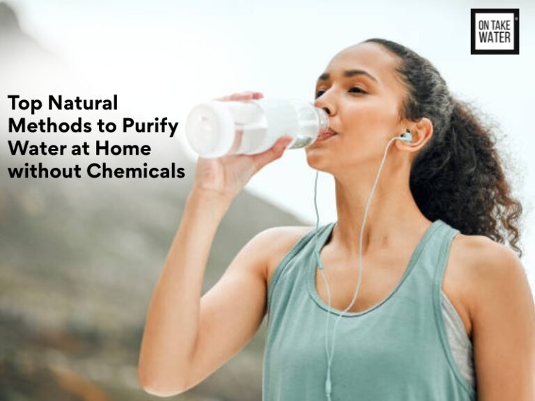 Top 5 Natural Methods to Purify Water at Home